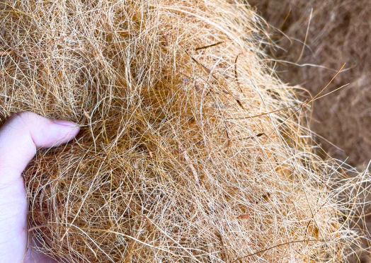 Sumatra Fiber | The leading supplier of coconut fiber from sumatra